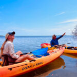 Ocean Kayak – Sit-On-Top Kayaks for Every Adventure - Fan Website